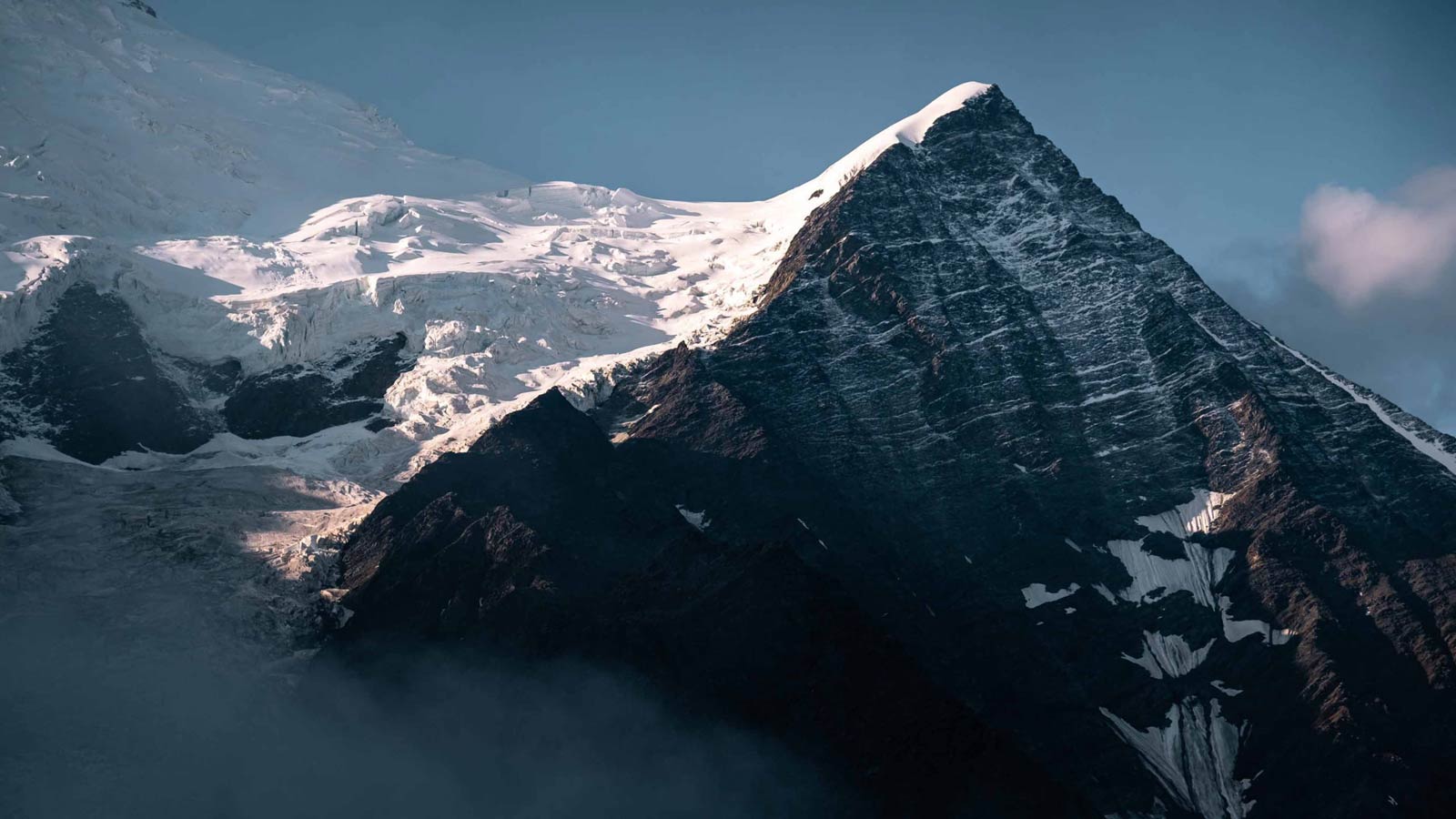 About the HOKA Brand | HOKA®