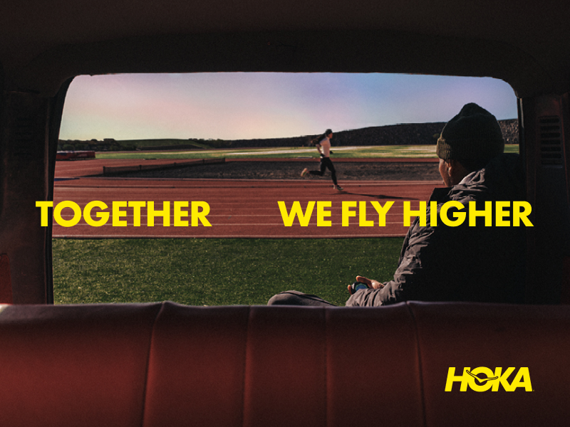Fly Human Fly
